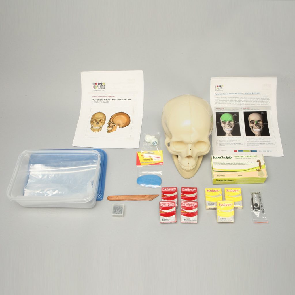 Forensic Facial Reconstruction (Single Kit) | KIMSeattle