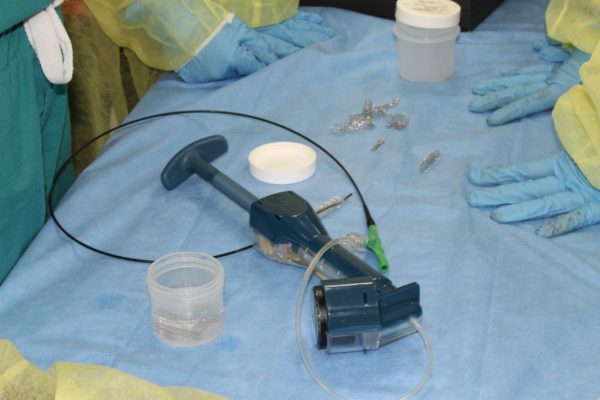 The Heart | KIMSeattle