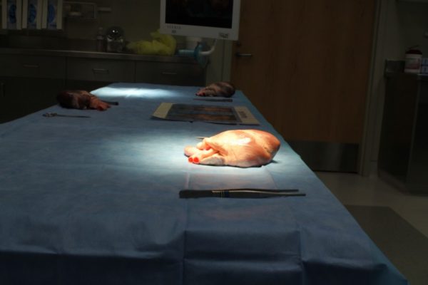 The Heart | KIMSeattle